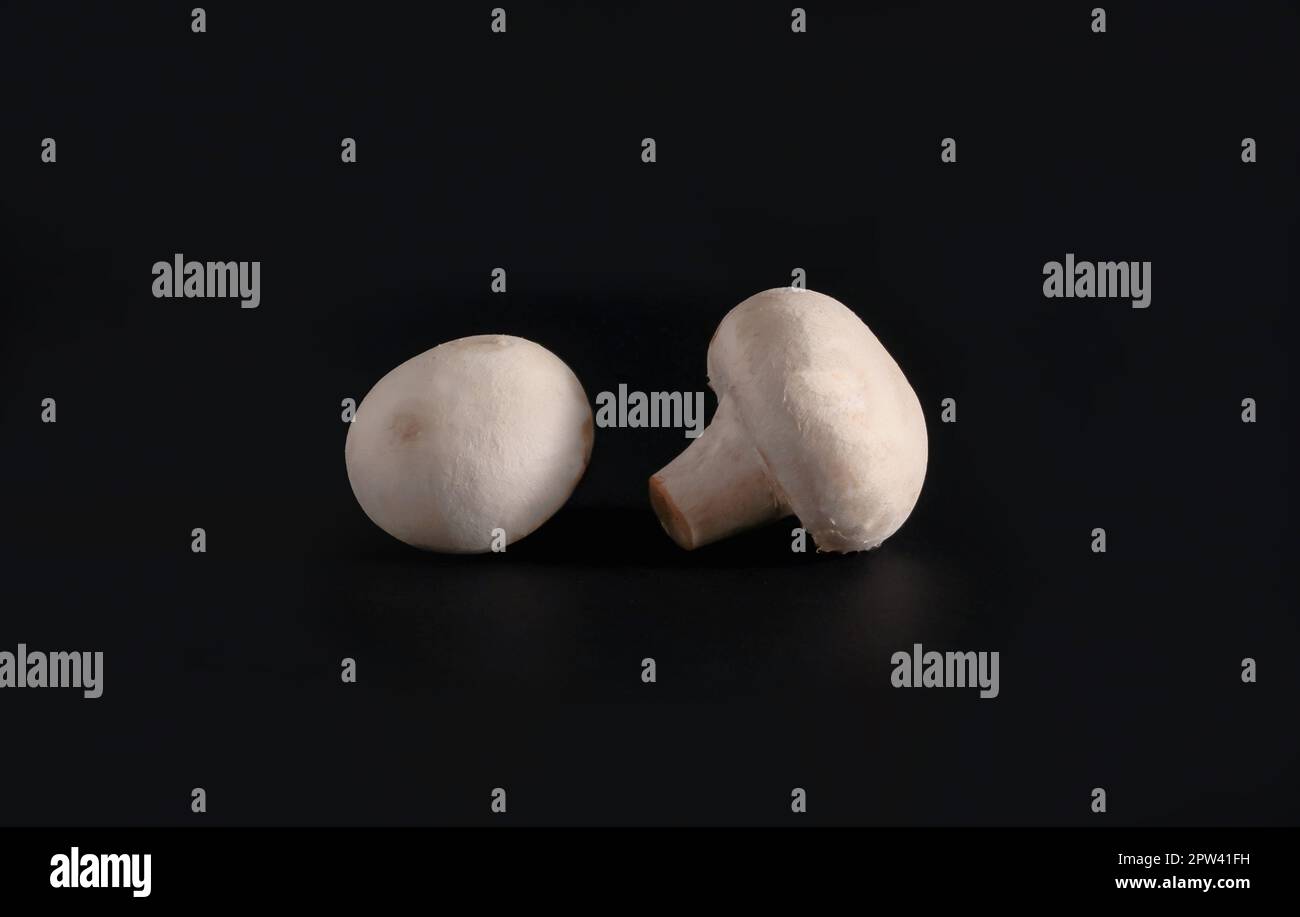 A stack of mushrooms on a black background Stock Photo - Alamy