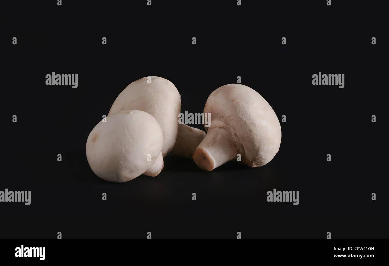 A stack of mushrooms on a black background Stock Photo - Alamy