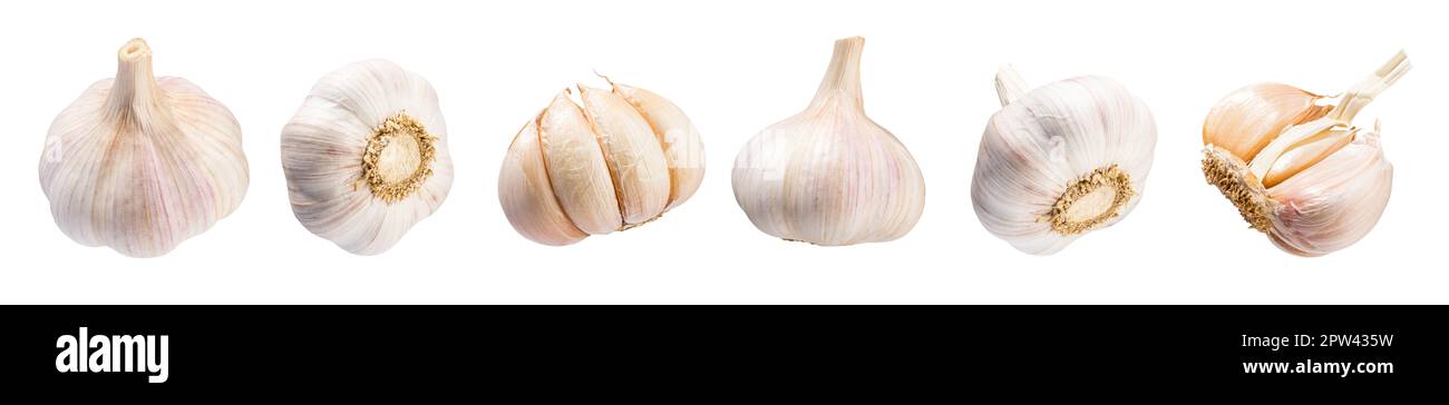 Falling peeled garlic cloves isolated on white background with clipping ...
