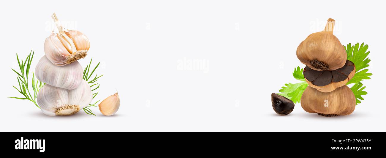 Two Stack of white organic garlic with dill and fermented black garlic ...