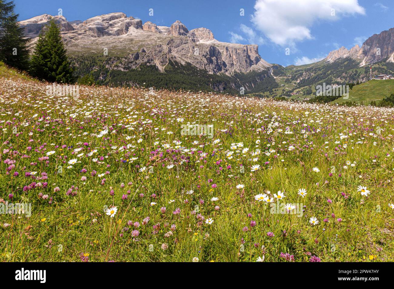 Dolomiti Alps in Alta Badia landscape amd peaks view, Trentino Alto ...