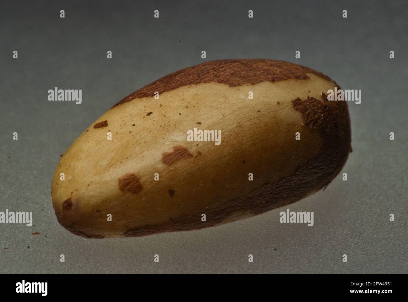 Brazil Nuts heart healthy snake close up shot Stock Photo - Alamy