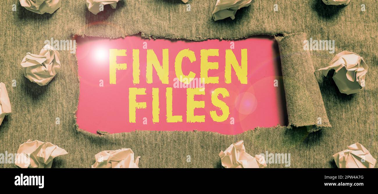 Text caption presenting Fincen Files, Business overview Transactions in ...