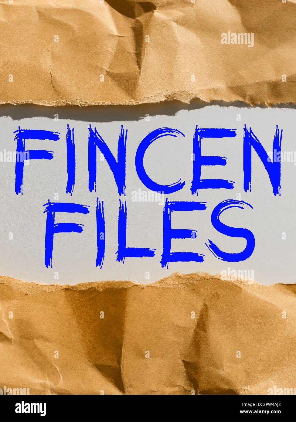 Inspiration showing sign Fincen Files, Word for Transactions in ...