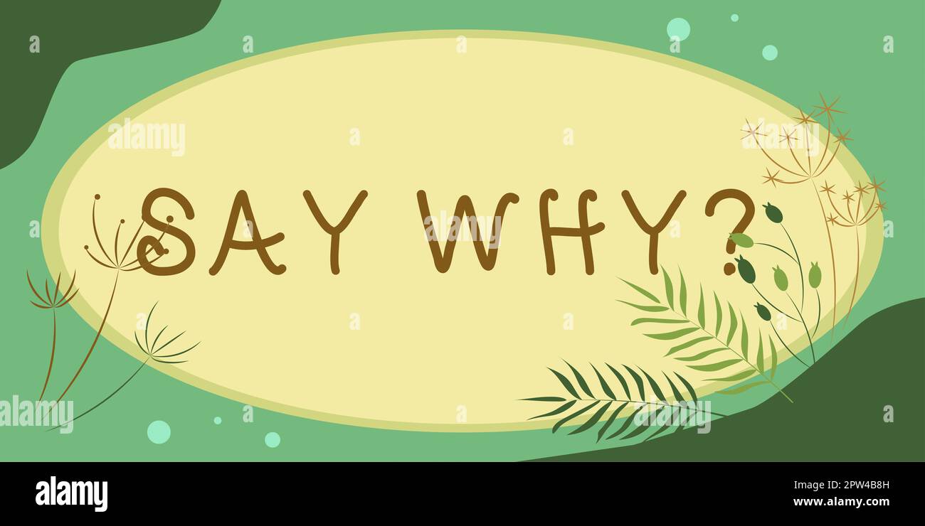 Inspiration showing sign Say Why, Business concept Give an explanation ...