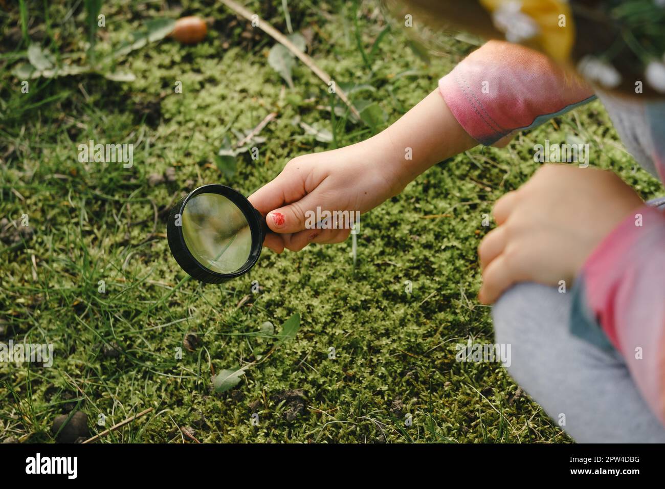 Kids hand with magnifying glass over moss in the forest. Nature search ...