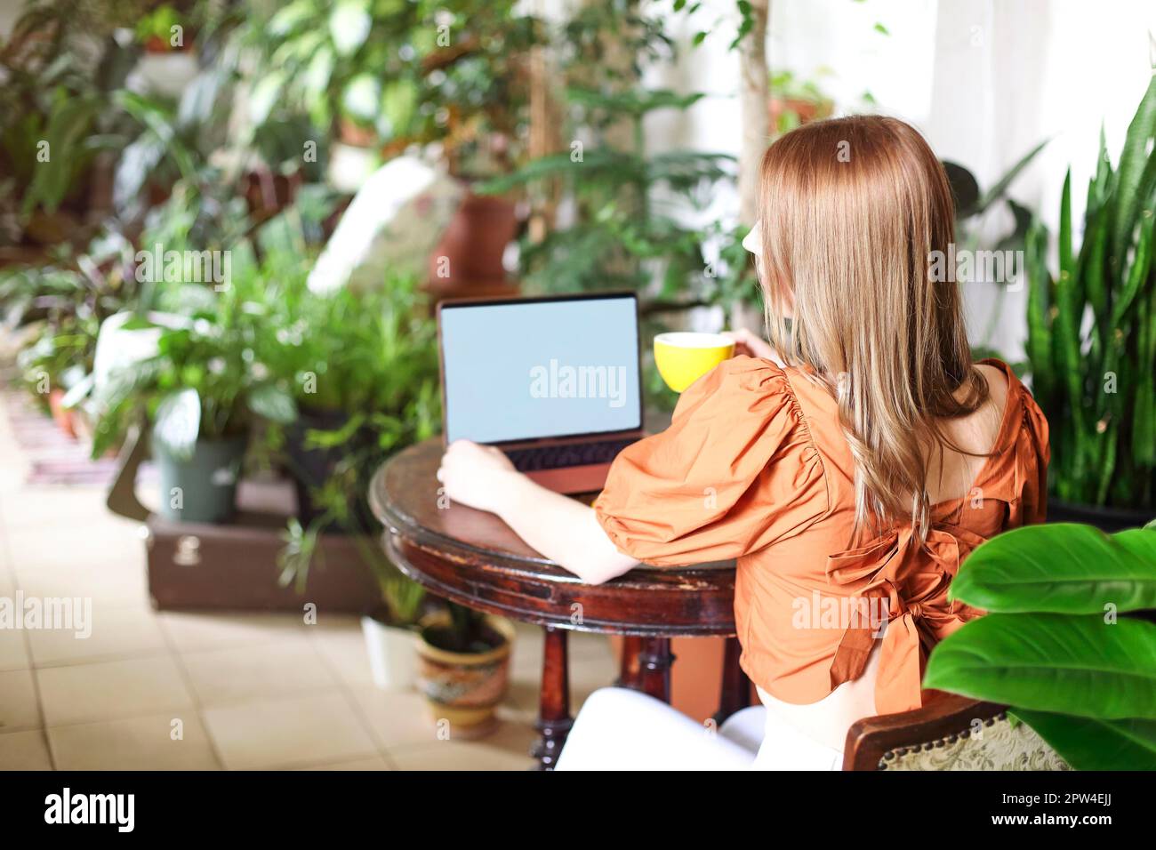 Rear view of young woman working remotely on laptop with blank mockup ...