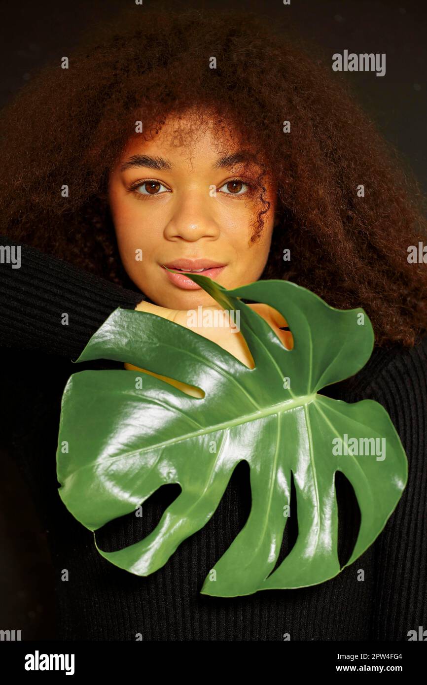 African leaf hi-res stock photography and images - Alamy