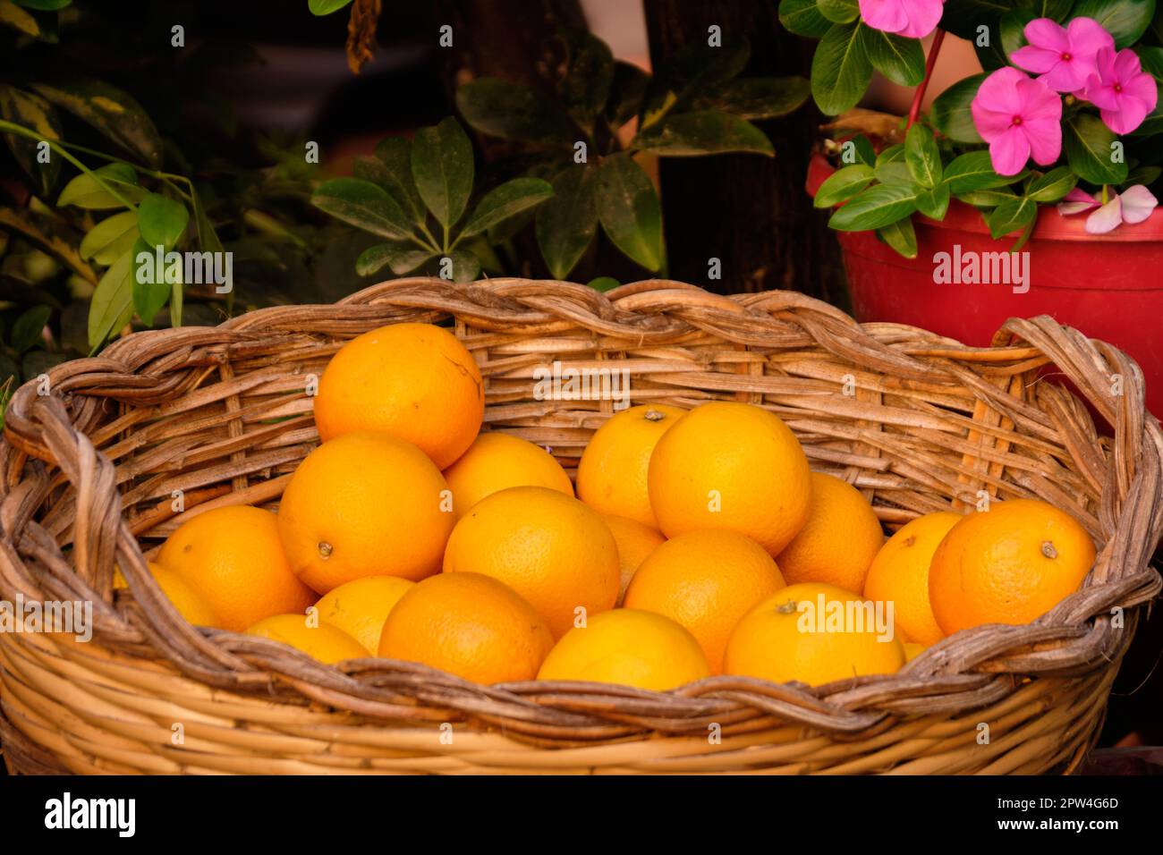 Malta basket hi-res stock photography and images - Alamy