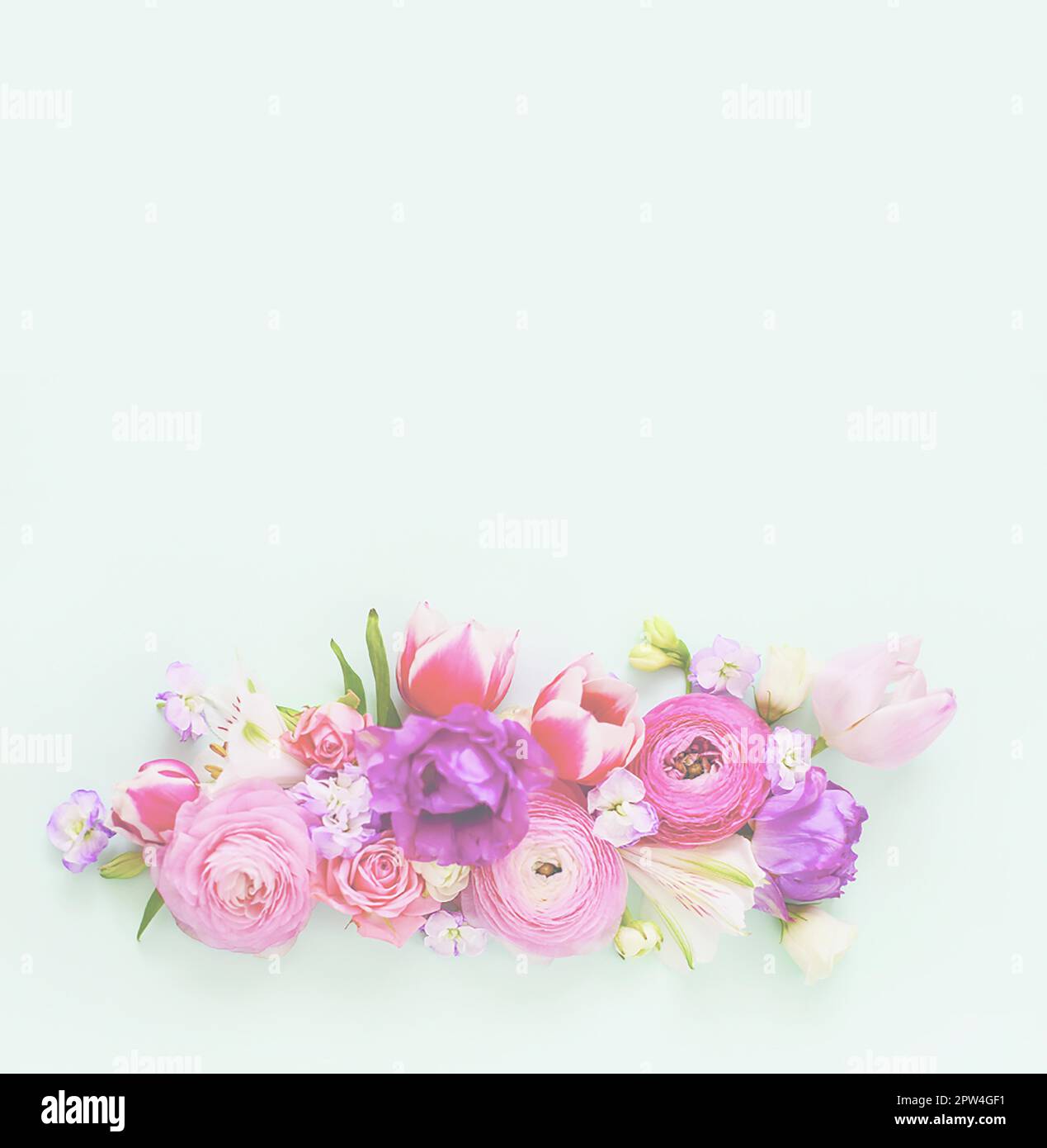 Top view of organic fresh flowers arranged in beautiful compositions on ...