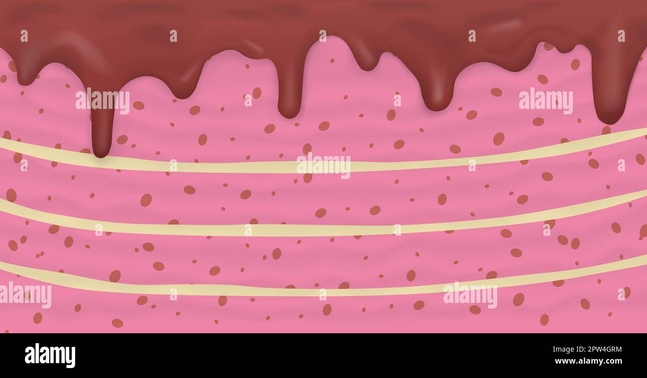 Panoramic background layer cake, food texture - Vector illustration ...