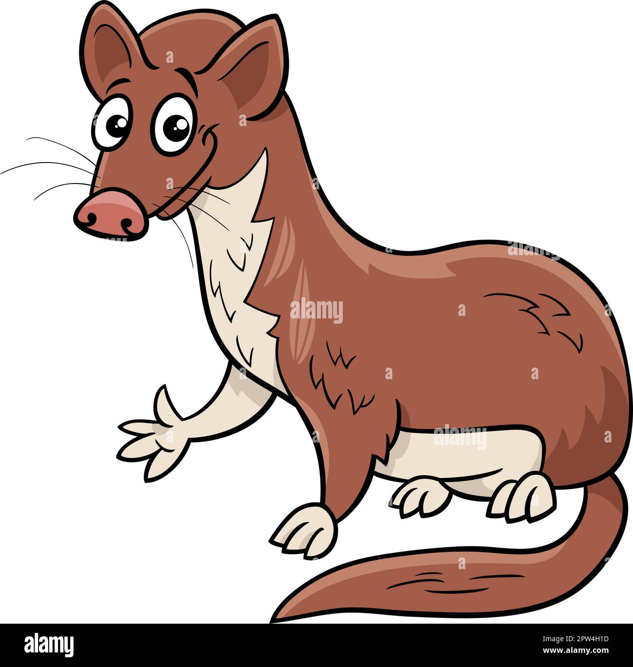 funny cartoon weasel animal character Stock Vector Image & Art - Alamy