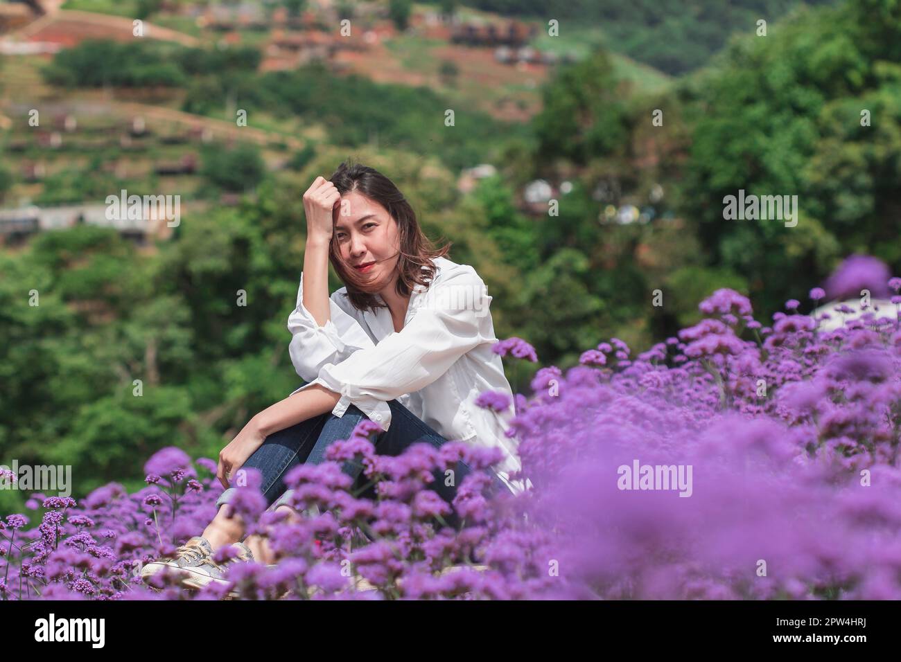 Women in the Verbena field are blooming and beautiful in the rainy ...