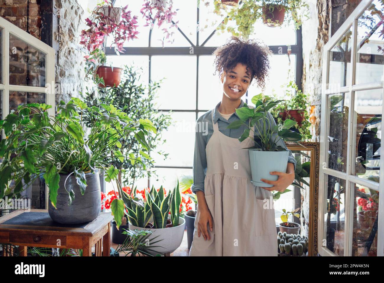 Happy plant lady. Young Afro American woman plant lover taking care of ...