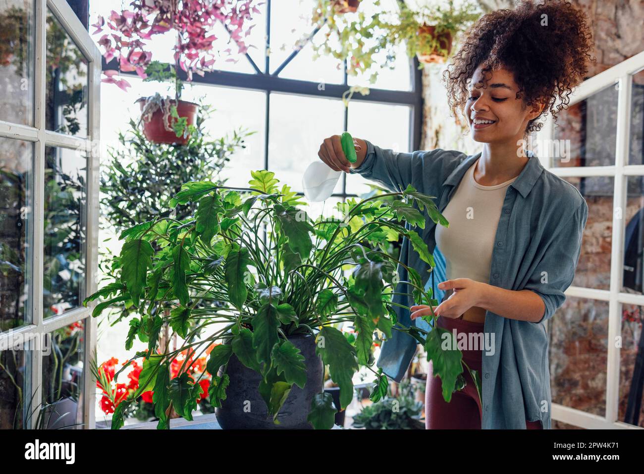 Happy plant lady. Young Afro American woman plant lover taking care of ...