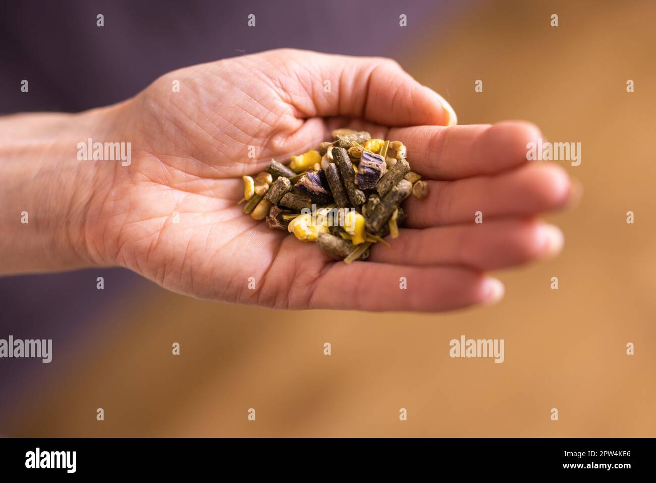 Dry food for rodents in bowl in rabbit cage Stock Photo - Alamy