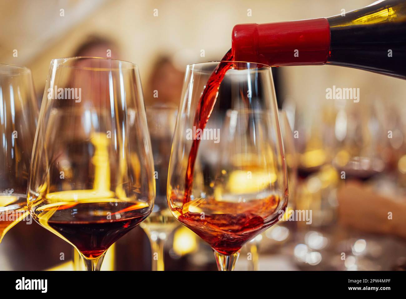 Glass goblets placed in rows on table during wine tasting procedure in ...