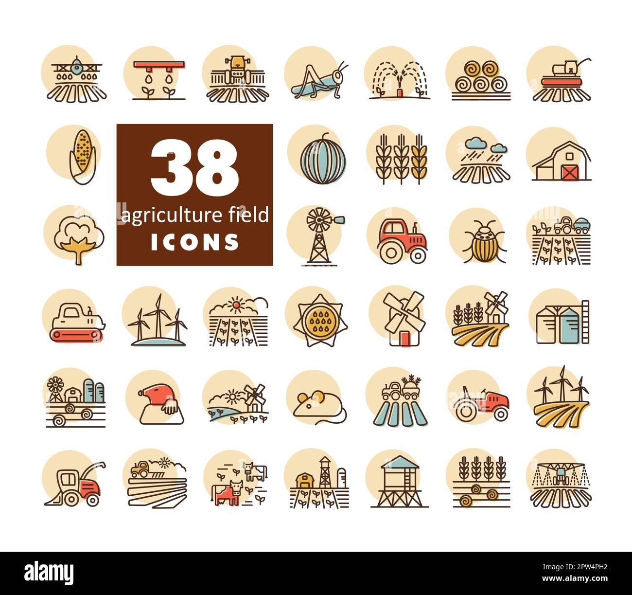 Cotton locust Stock Vector Images - Alamy