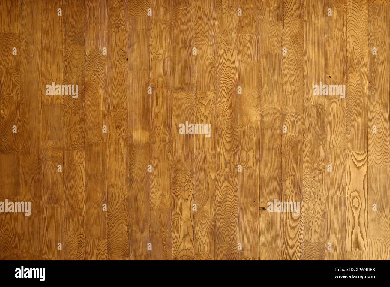 Floor wood parquet. Flooring wooden pattern. Design laminate and ...