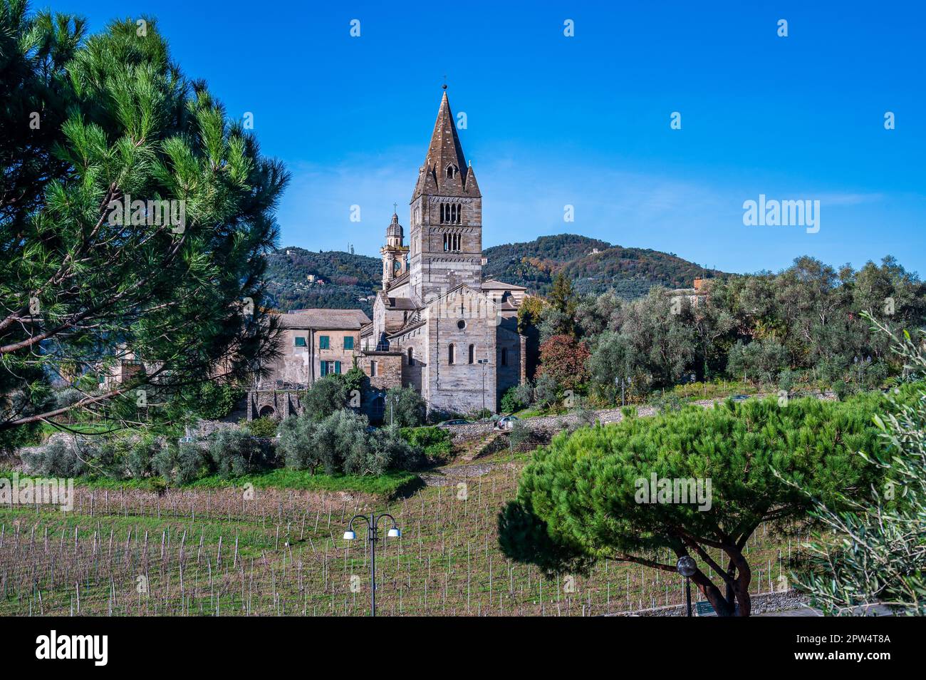 The ancient Basilica dedicated to the Fieschi Family situated in ...