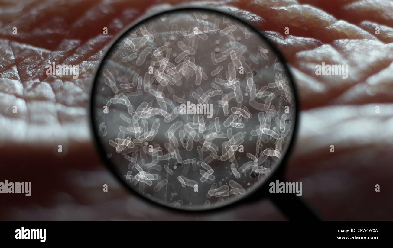 Searching for bacteria on human skin Stock Photo - Alamy