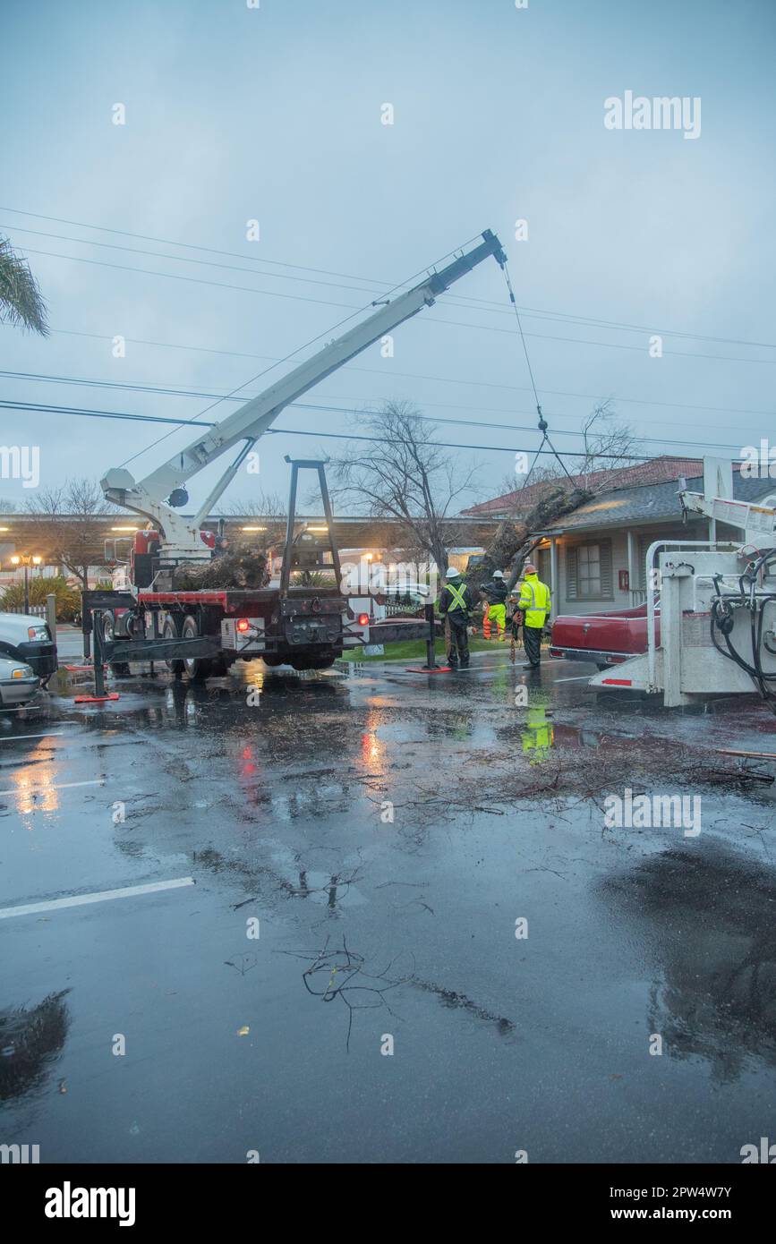 Santa Cruz Downtown, CA, tree falls destroying the roof of the house ...