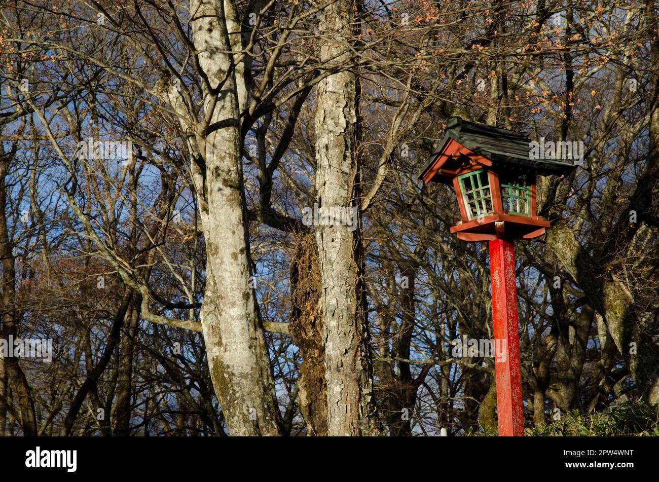 Traditional lantern in Nikko National Park. Japan Stock Photo - Alamy