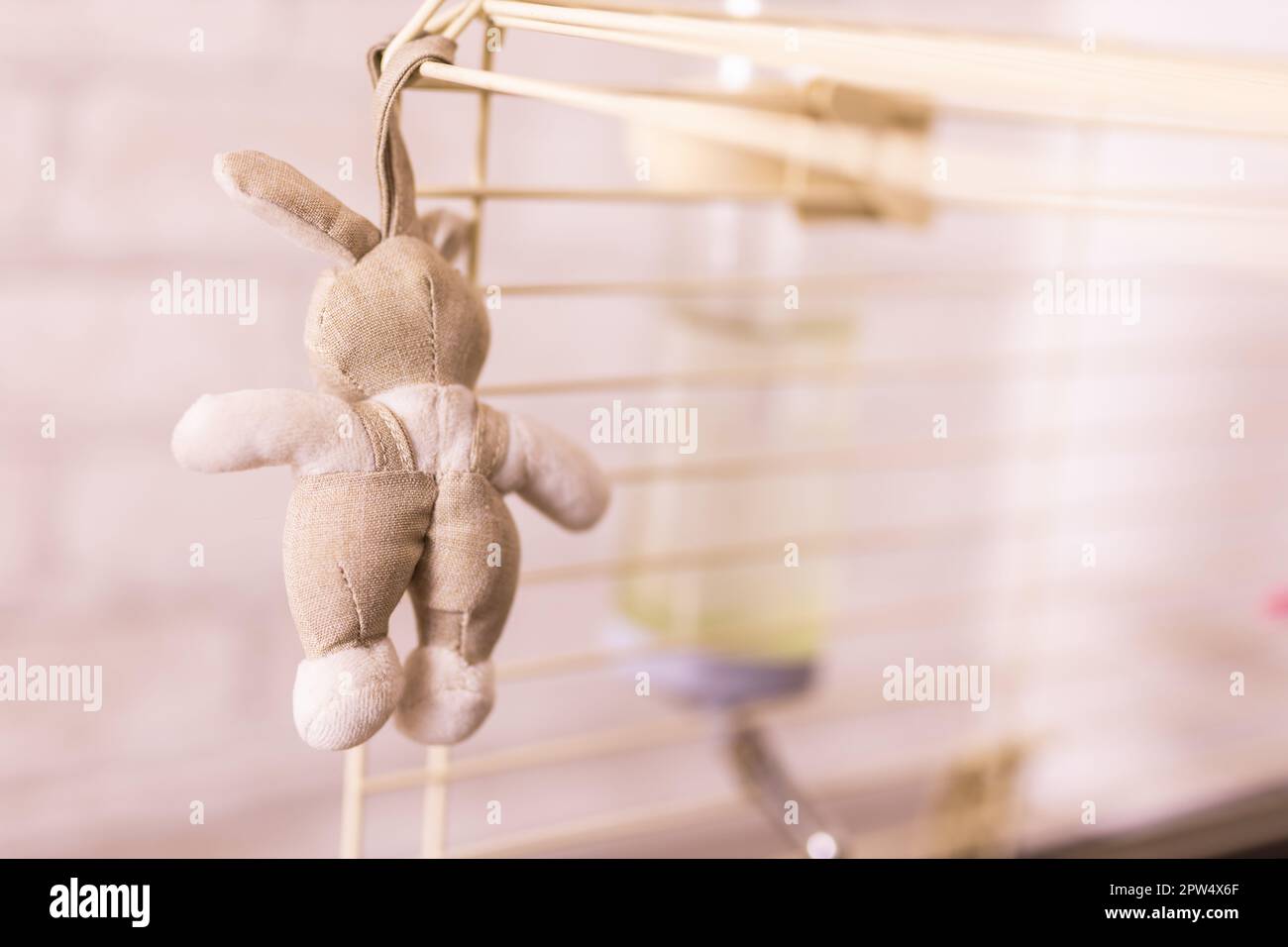 Brown rabbit doll sitting on white background Stock Photo - Alamy