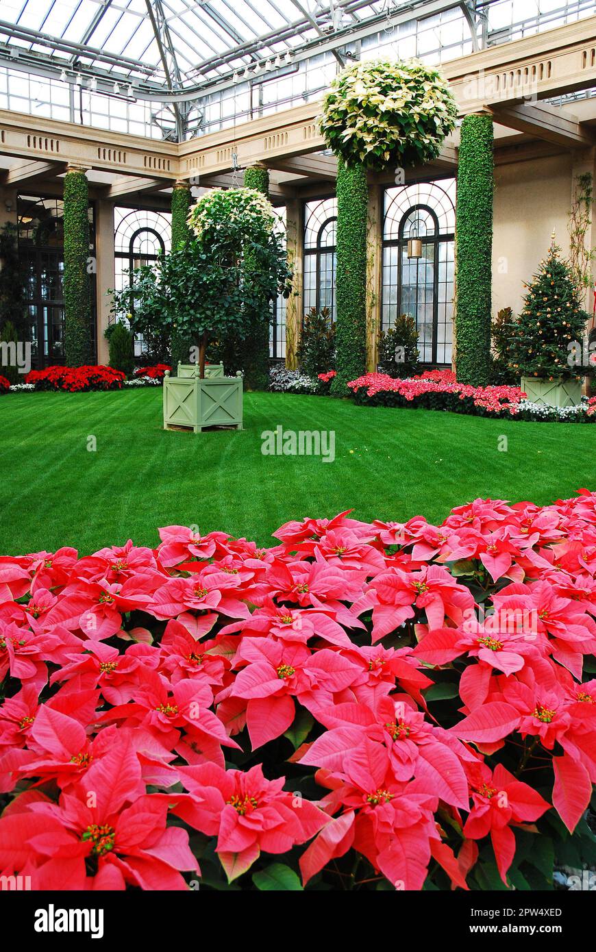 Christmas garden display hi-res stock photography and images - Alamy
