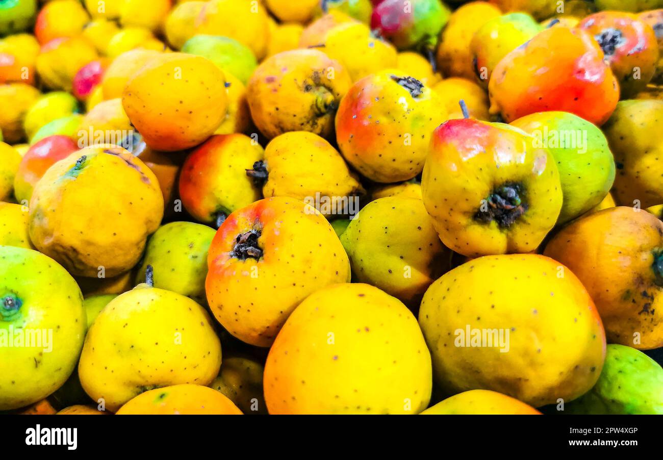 Many small tejocote fruits texture pattern in Zicatela Puerto Escondido ...