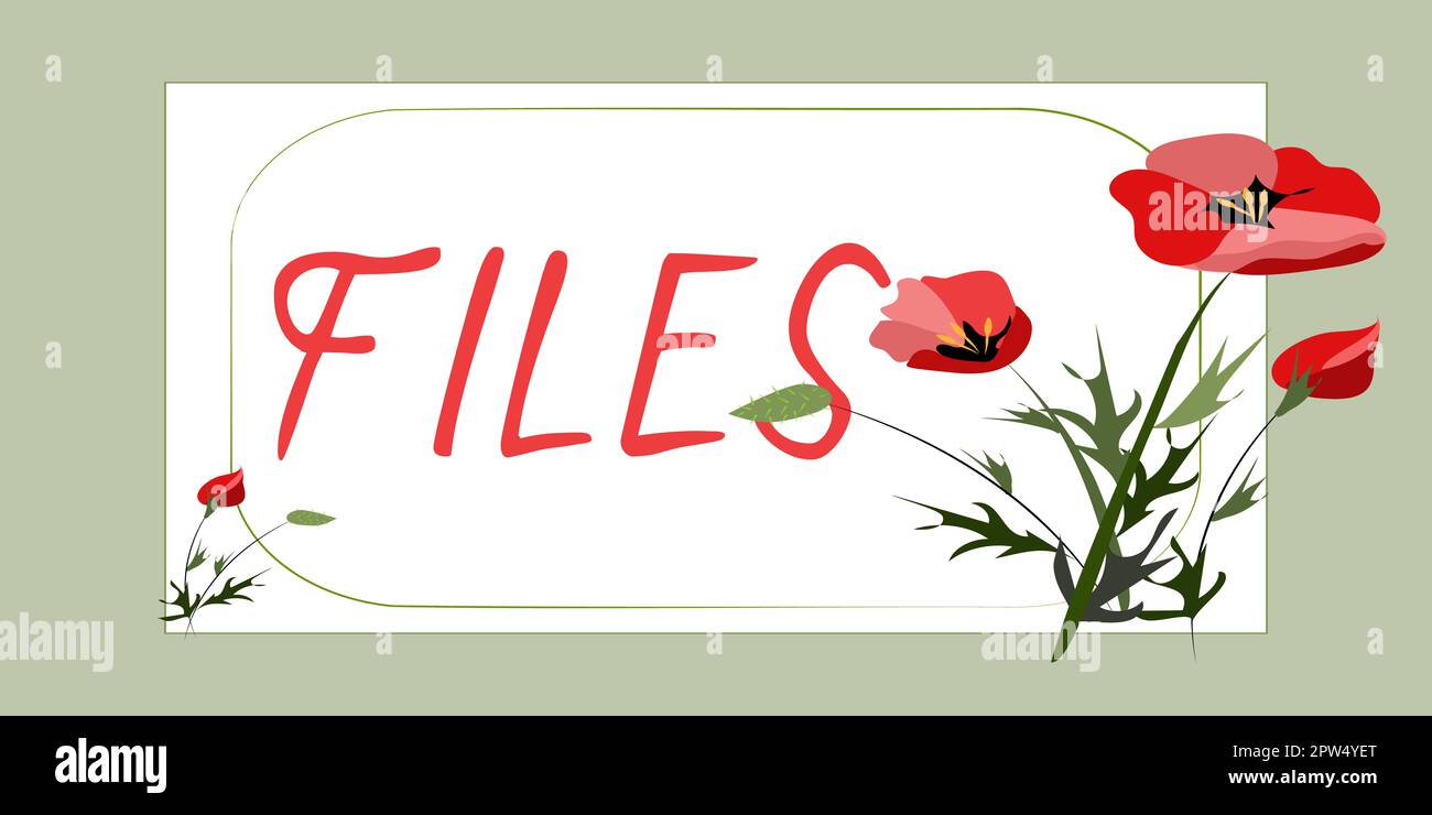 Conceptual caption Files, Business showcase Folder box for holding ...