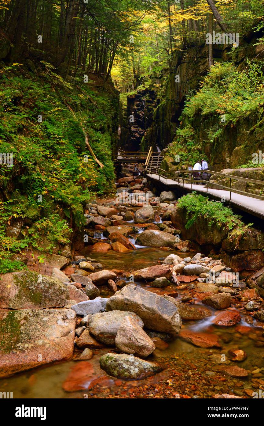 A Boardwalk Leads into the Flume Gorge in New Hampshires White Mountains Stock Photo - Alamy