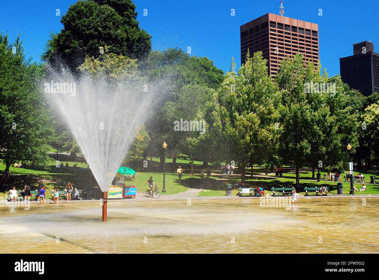 Boston Common Summer