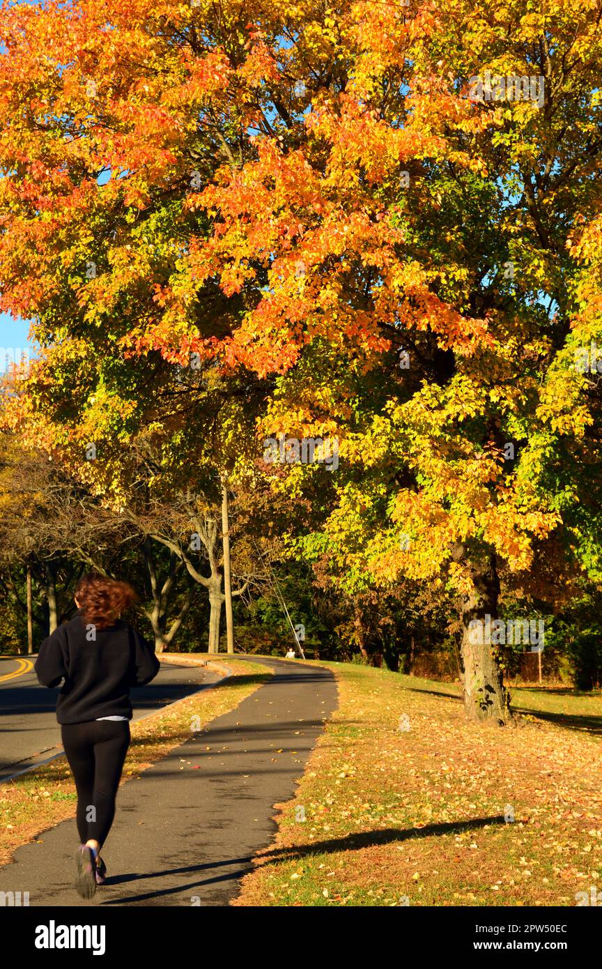 Jogger in fall hi-res stock photography and images - Alamy