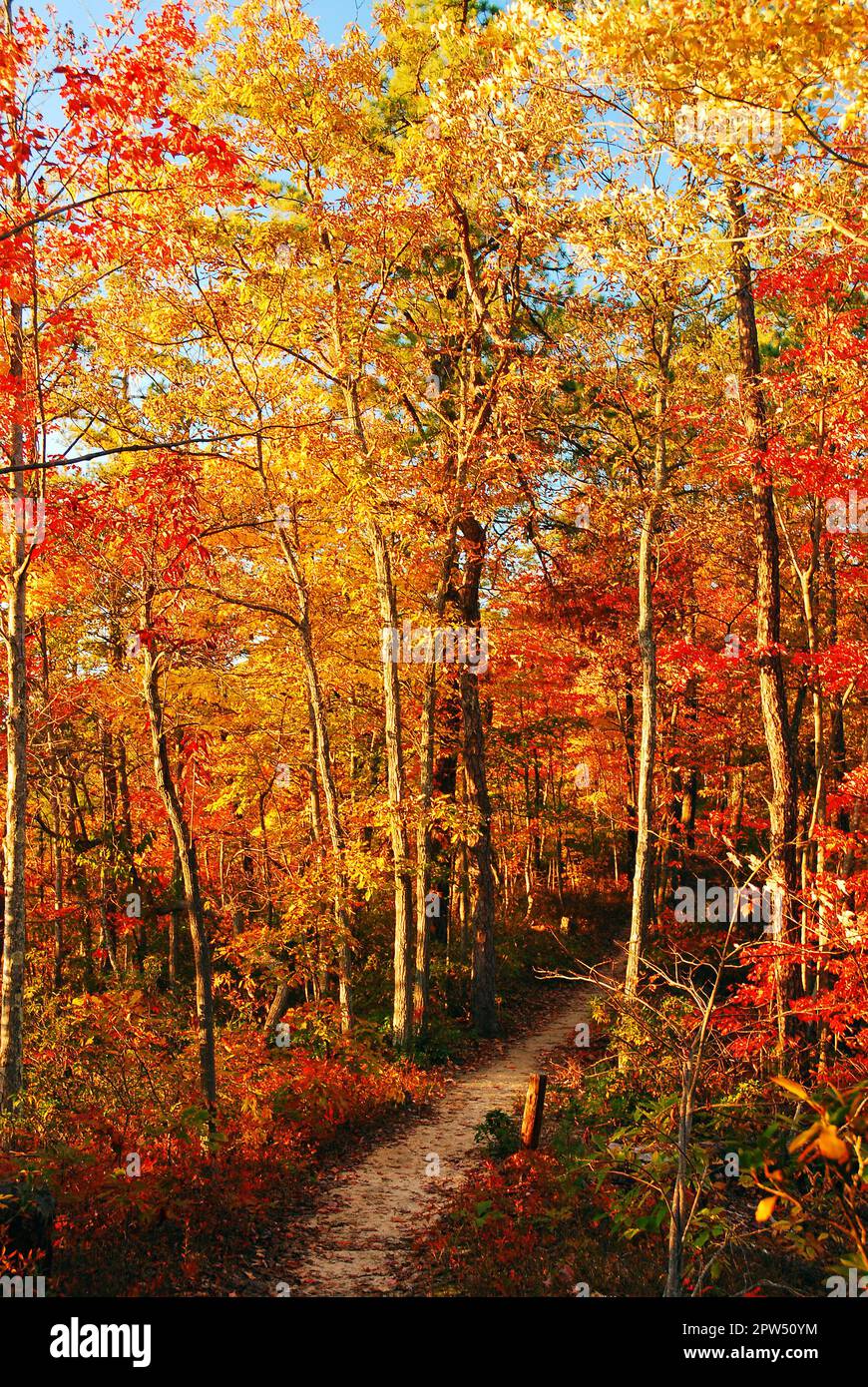 An path brings hikers through fall colors and autumn foliage as it ...
