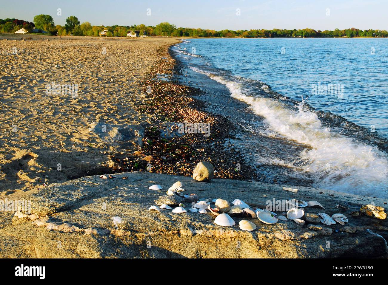 clam shells and small stones stand atop a larger rock while waves roll ...