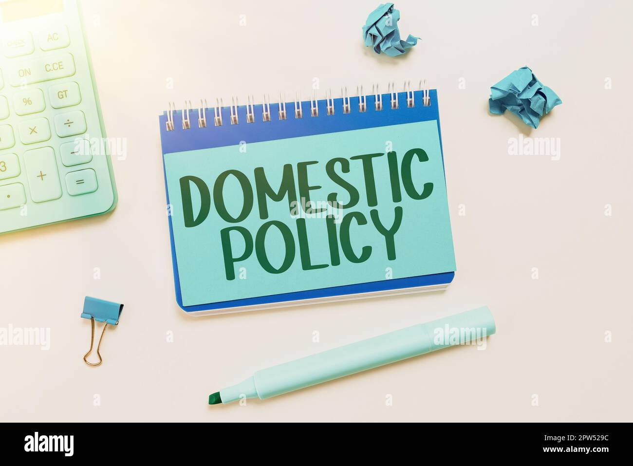 Text caption presenting Domestic Policy, Word Written on Actions taken ...