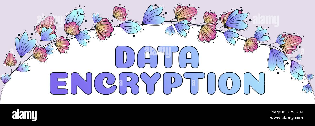 Hand writing sign Data Encryption, Business concept Conversion of data into code for compression ...
