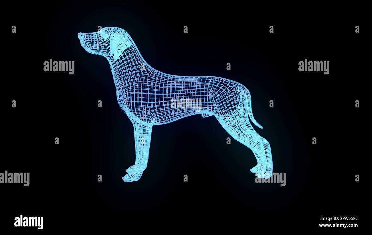 Dog wireframe. Computer generated 3d render Stock Photo - Alamy