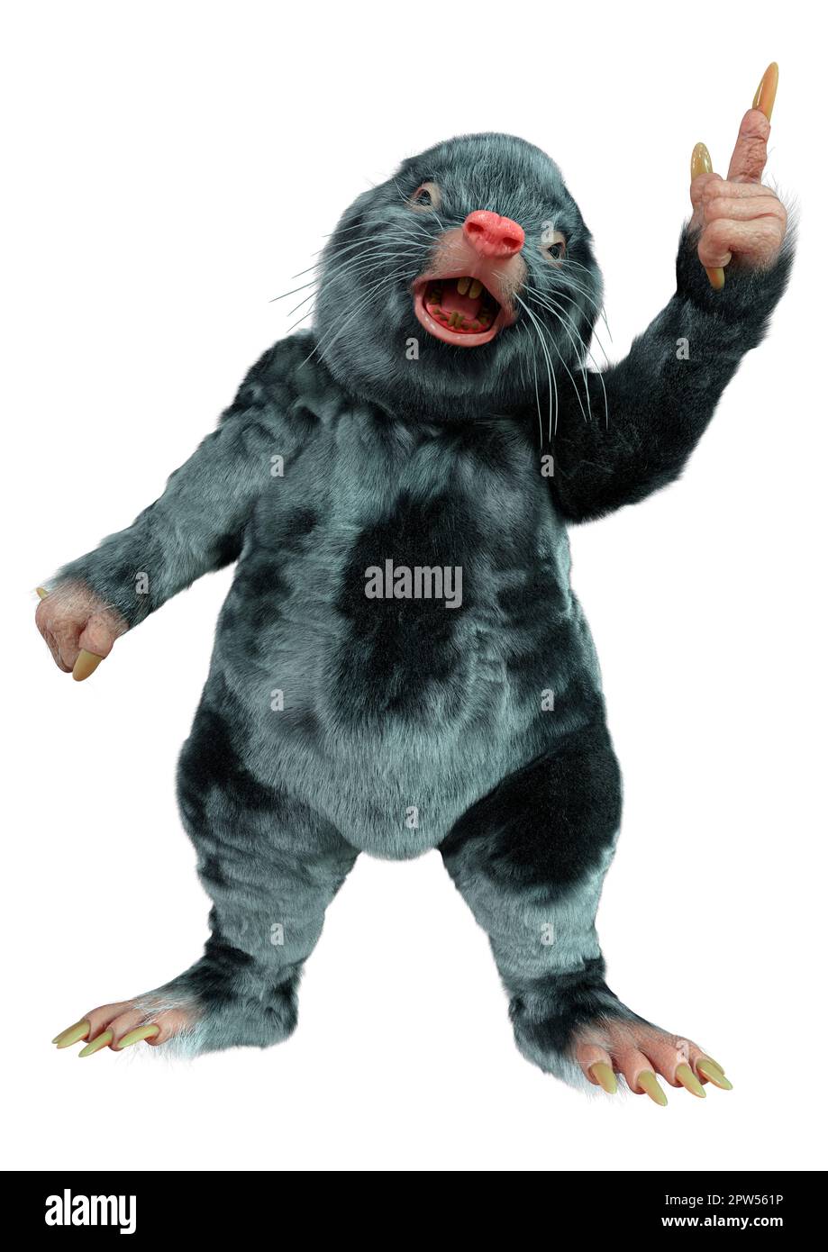 3D rendering of a mole animal isolated on white background Stock Photo ...