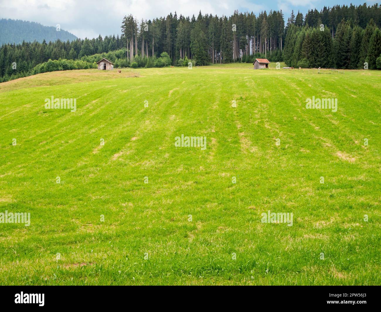 View of a hilly landscape in Allgäu / Bavaria with two small wooden ...