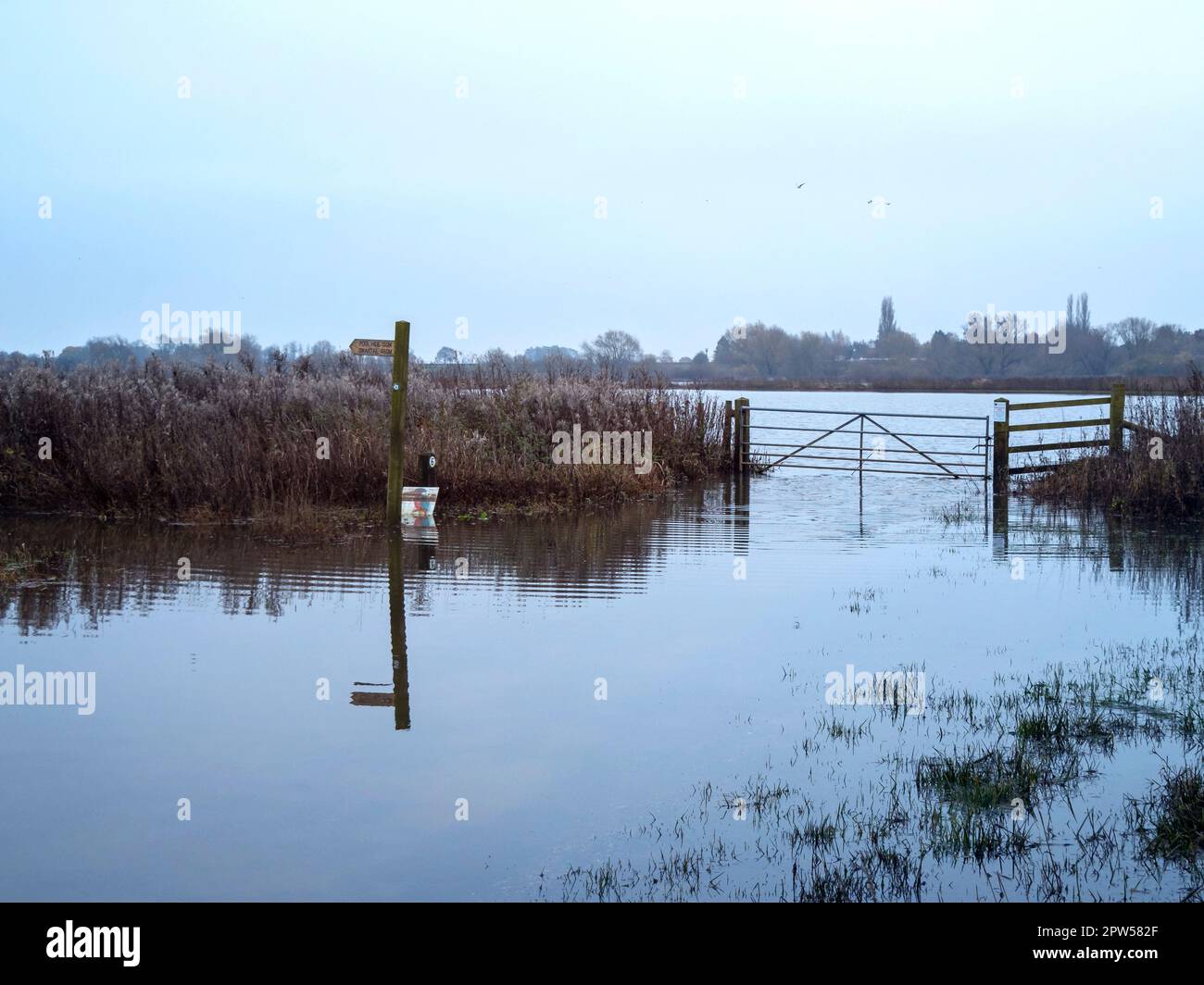 Flooded fields and footpath at Wheldrake Ings Nature Reserve, North ...