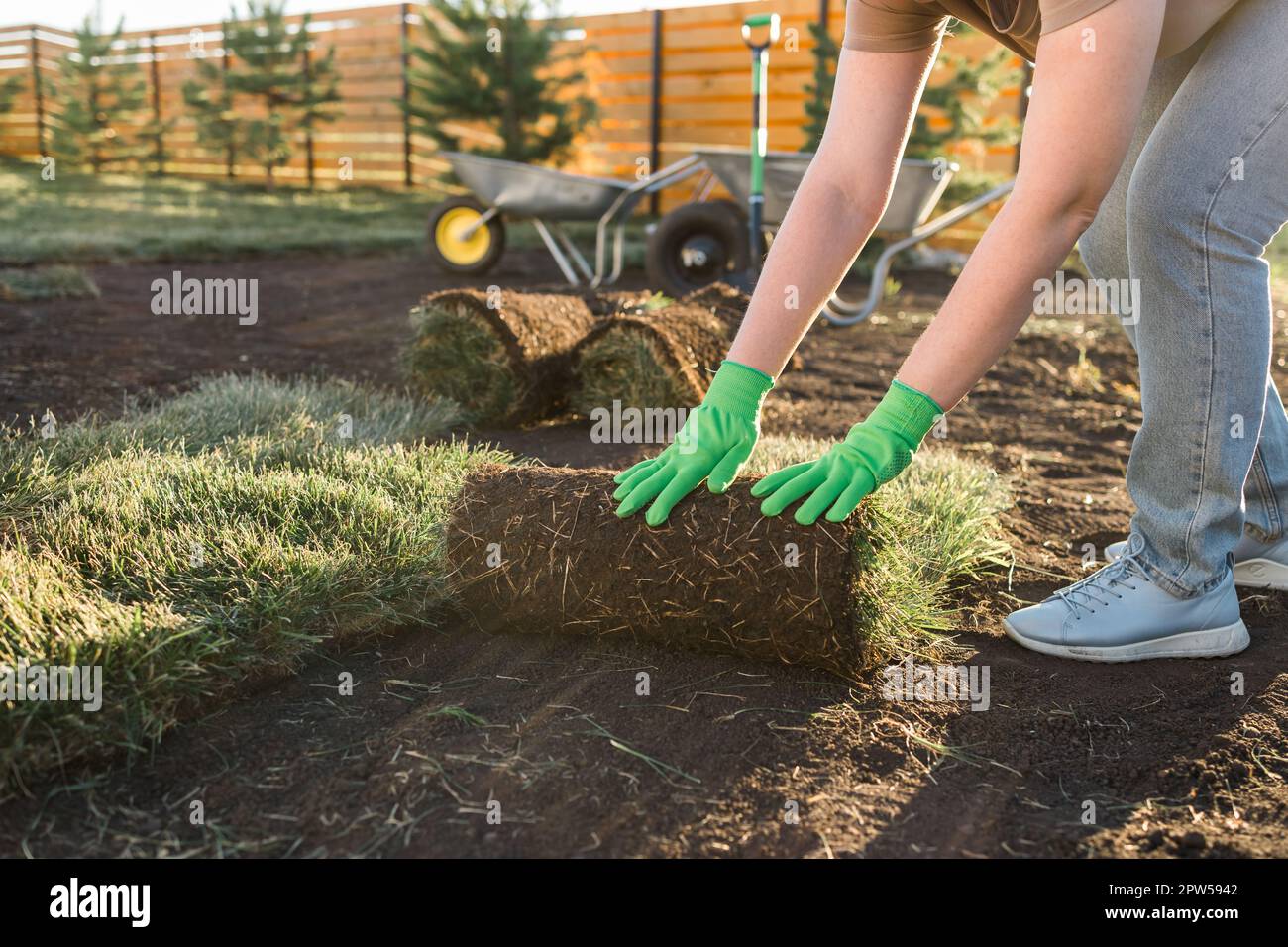 Close up woman laying sod for new garden lawn - turf laying Stock Photo ...