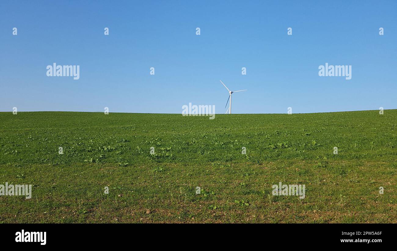 Windkraftanlagen sind nachhaltige Stromerzeuger die vom Wind ...