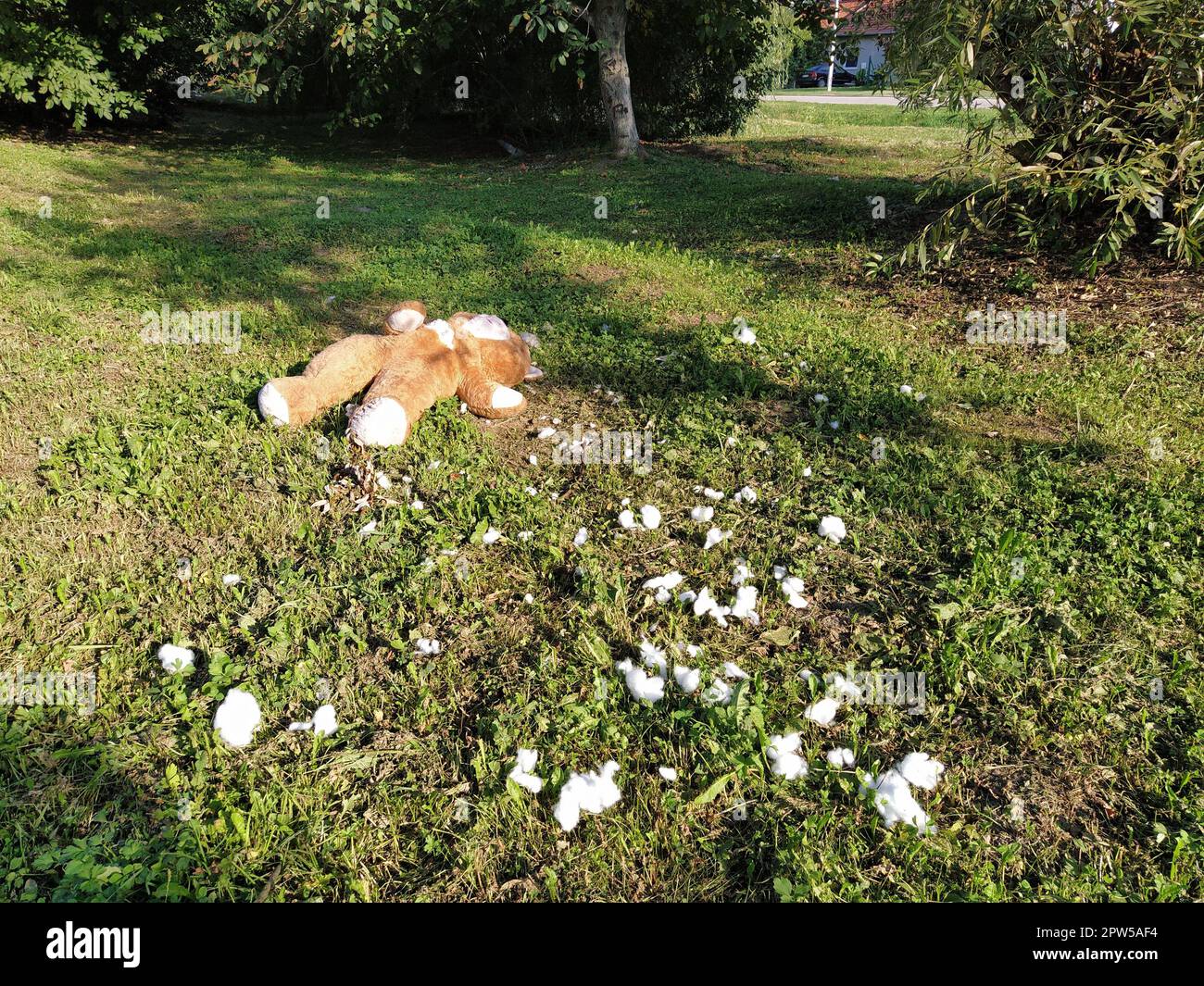 An unnecessary forgotten toy on the grass. A torn teddy bear lies on ...