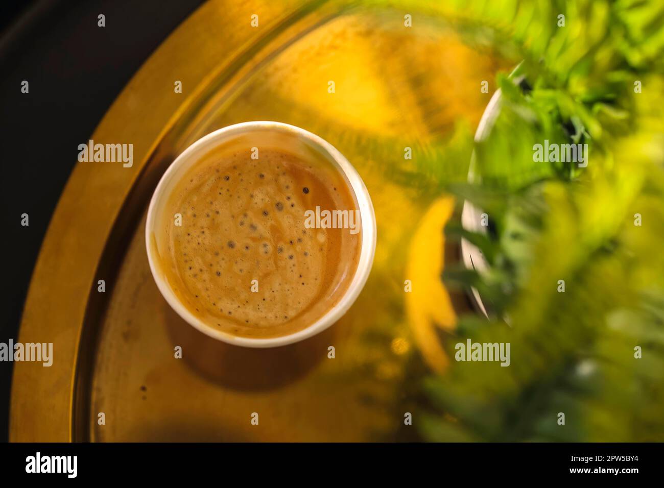 View from above of coffee cup on cafe table with green potted plant ...