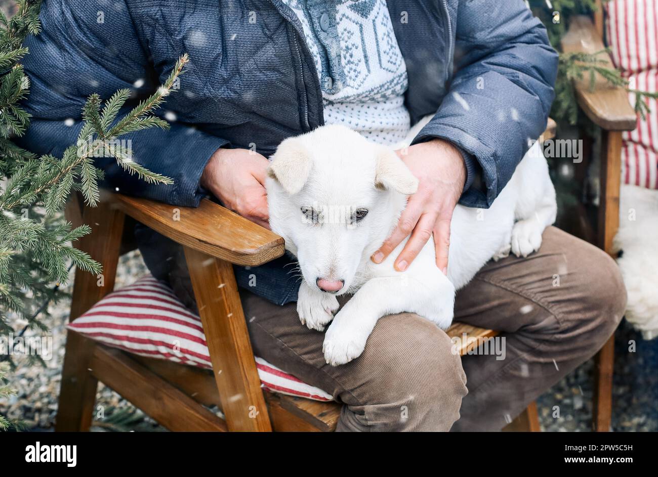 Man and Cute white Dog Sitting on Chairs At Park At Sunny Winter Day ...