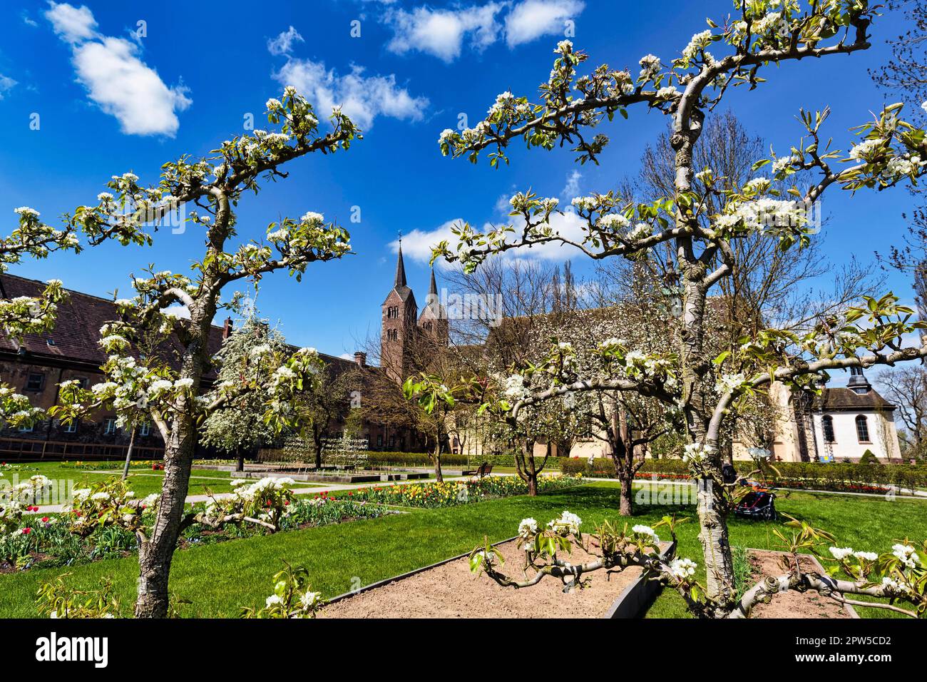 Blooming Remtergarten with view of the Carolingian Westwerk, Corvey ...