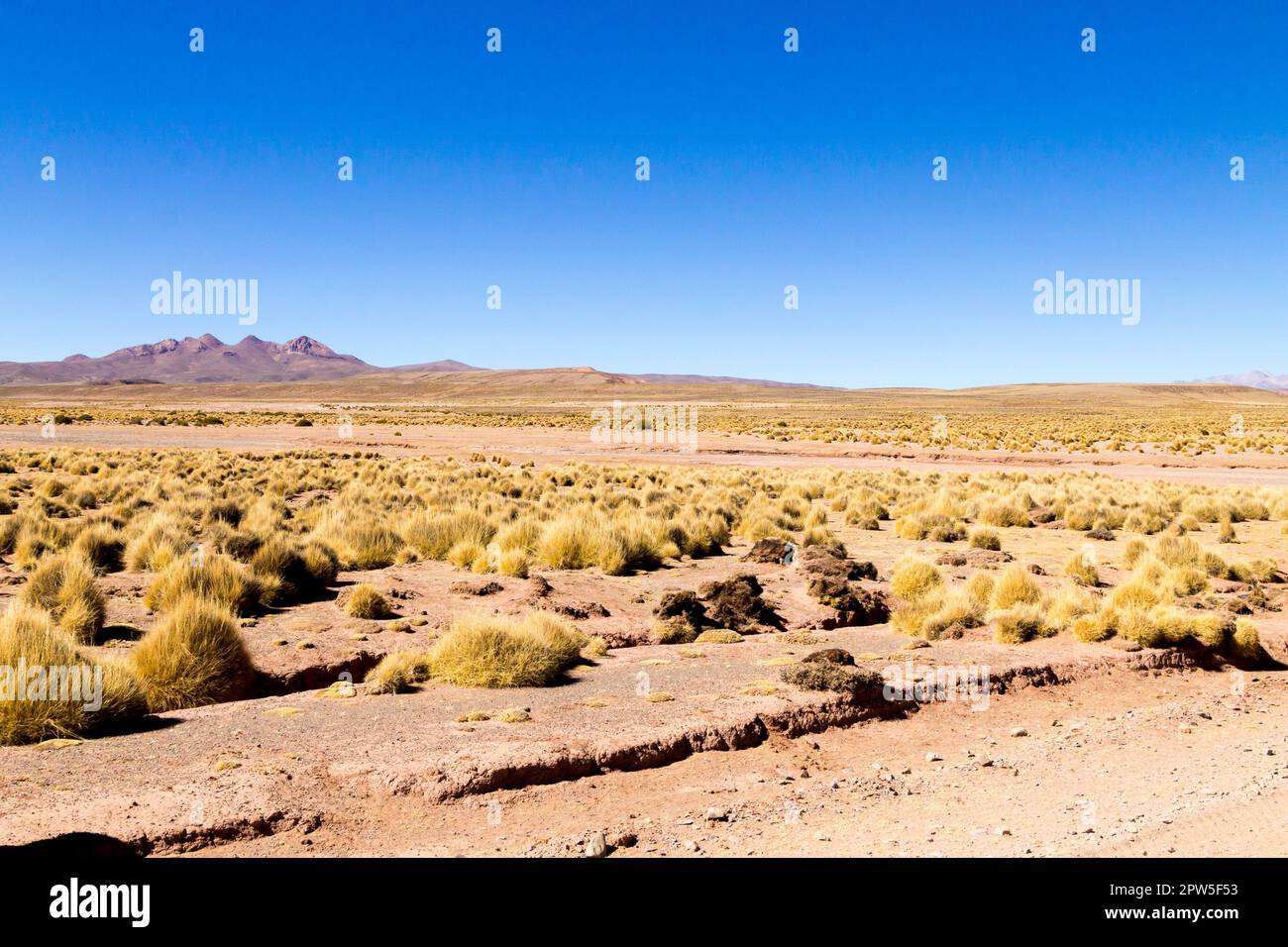 Bolivian mountains landscape,Bolivia.Andean plateau view Stock Photo ...