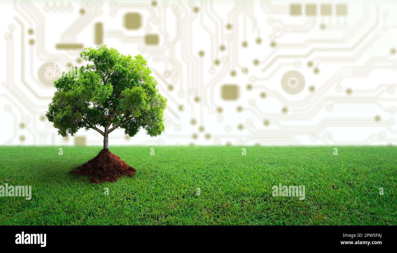 Technology nature convergence hi-res stock photography and images - Alamy